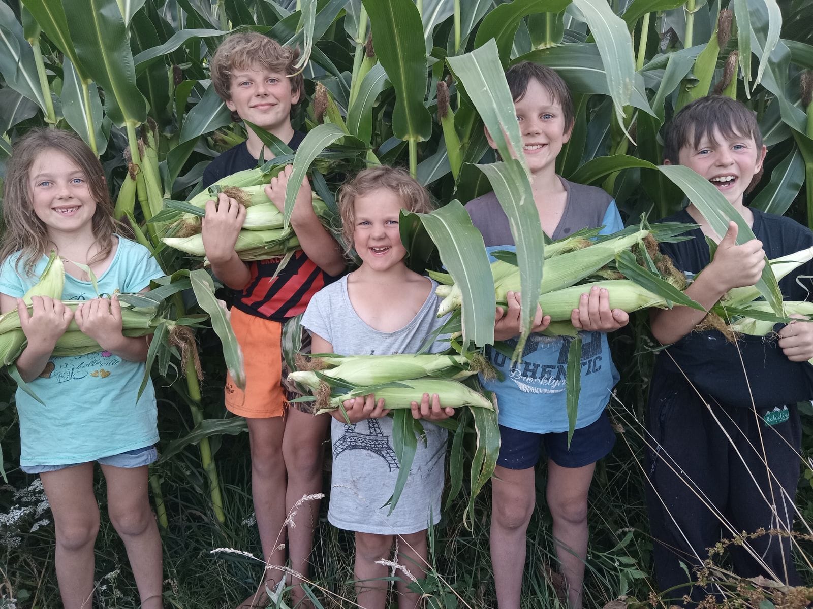 Atiamuri School Fundraiser – Misfit Garden
