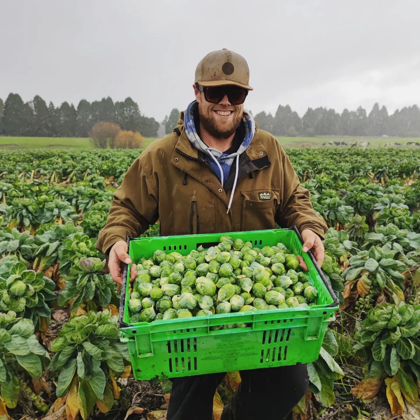 Behind The Misfits | Fruit & Veg Boxes | Misfit Garden