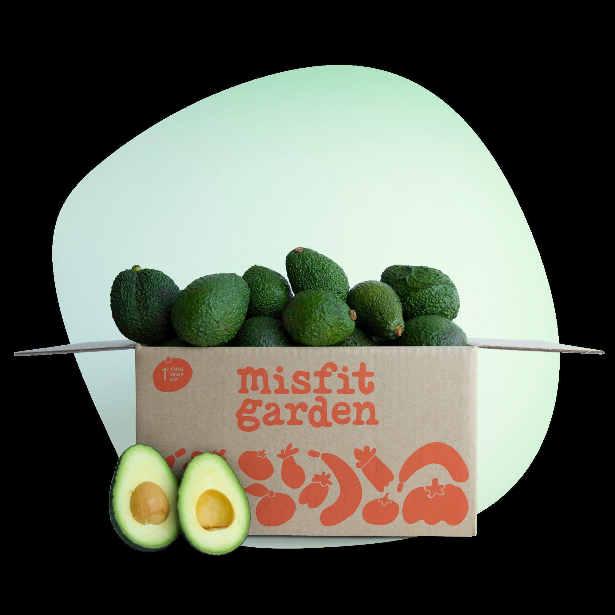 Bulk Boxes – Misfit Garden