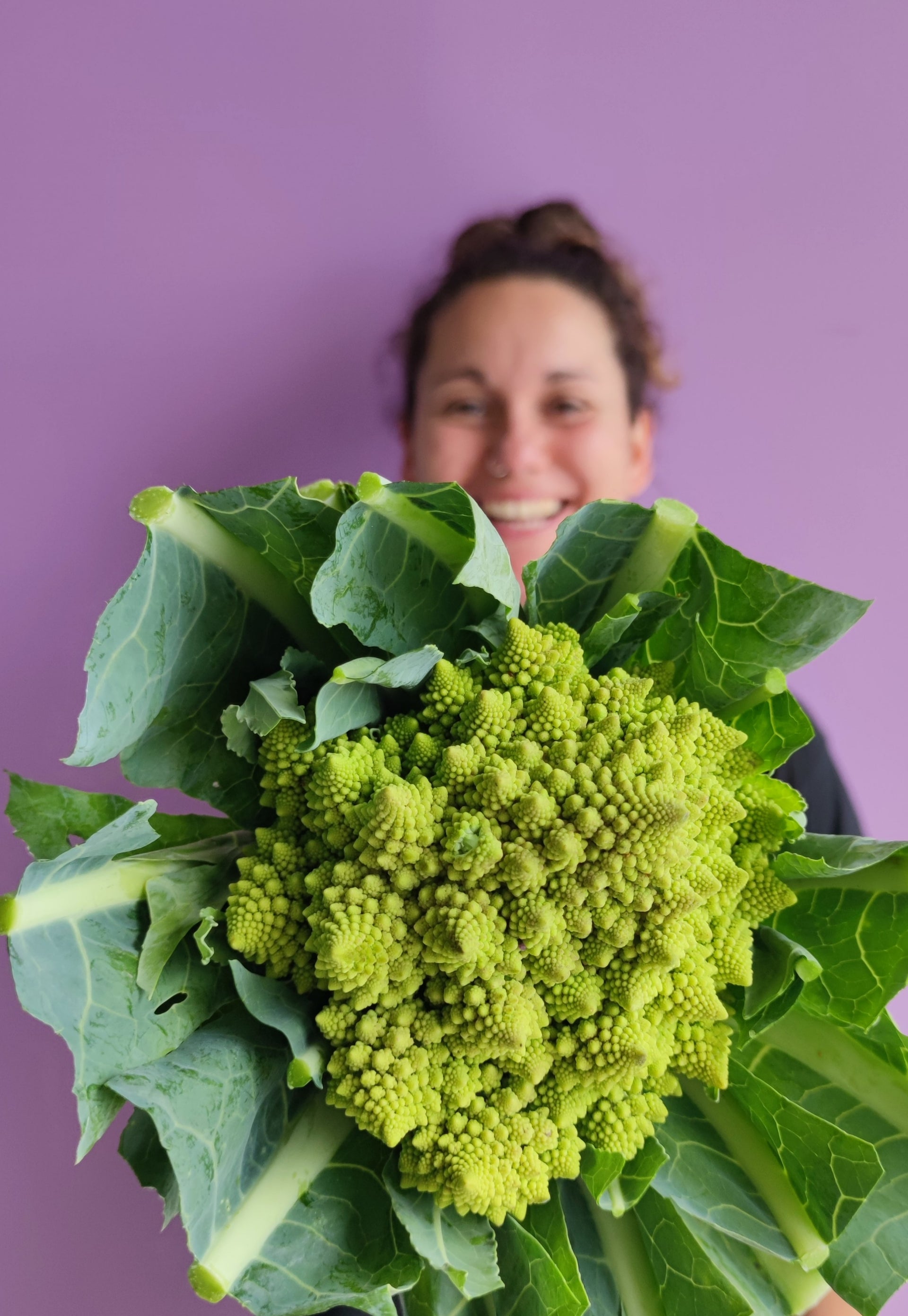 Wholesale Misfit | Fruit & Veg Boxes | Misfit Garden