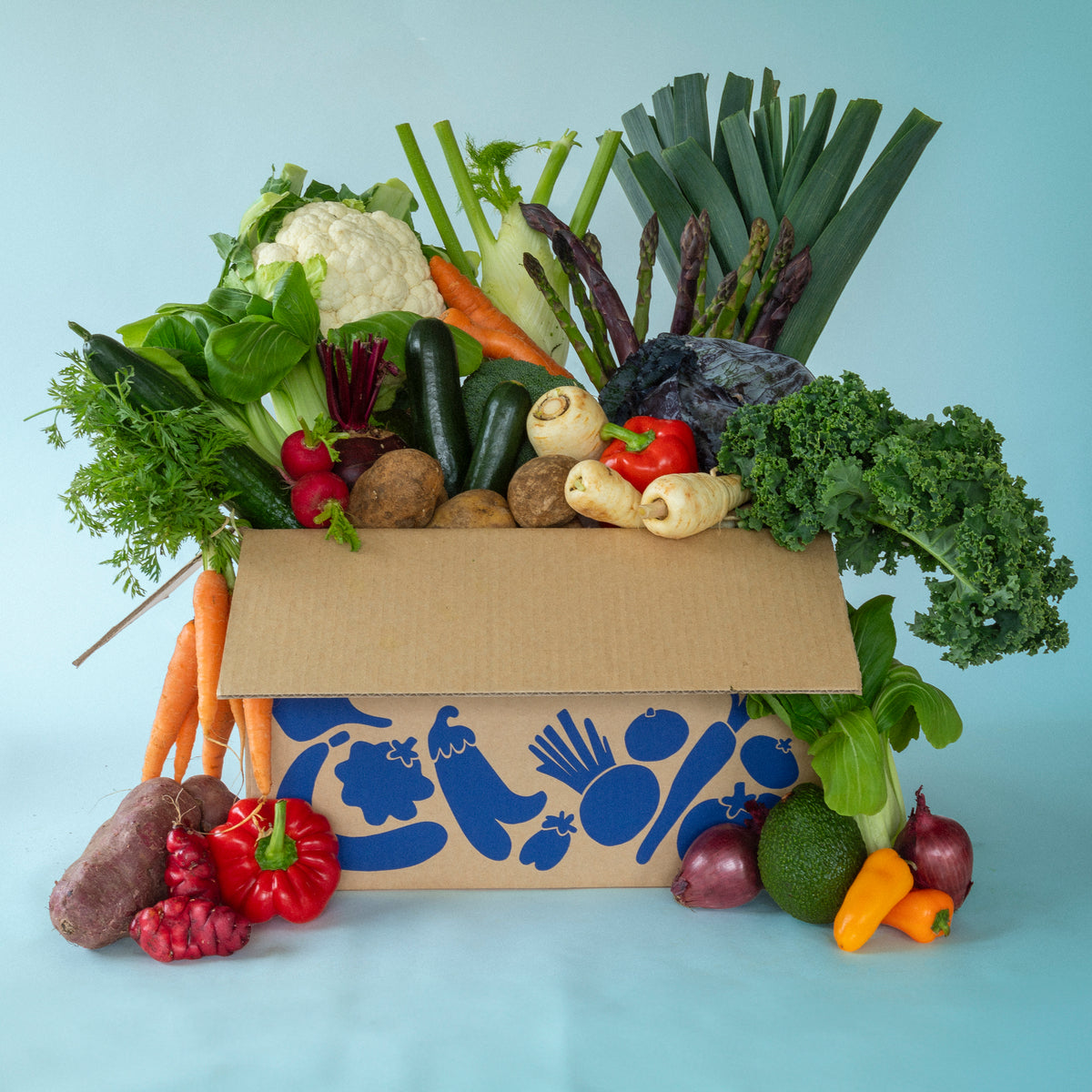 What's Inside Our Fruit & Veg Boxes | Misfit Garden