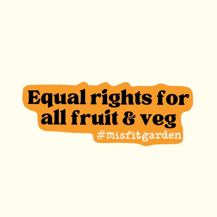 Our Misfit Fruit & Veg Subscription Boxes | Misfit Garden