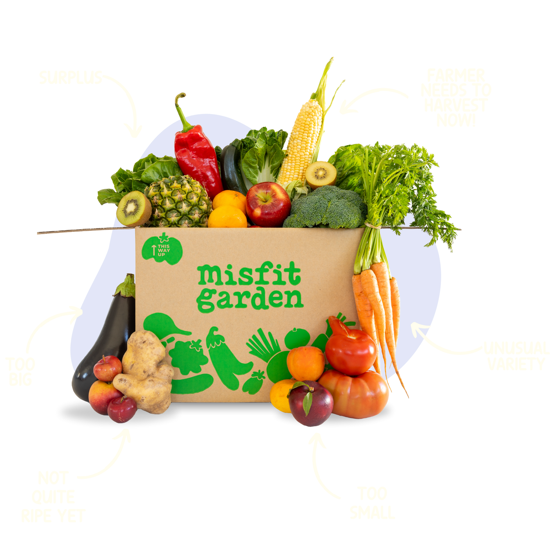 Fruit & Veg Boxes | North Island Wide Delivery | Misfit Garden