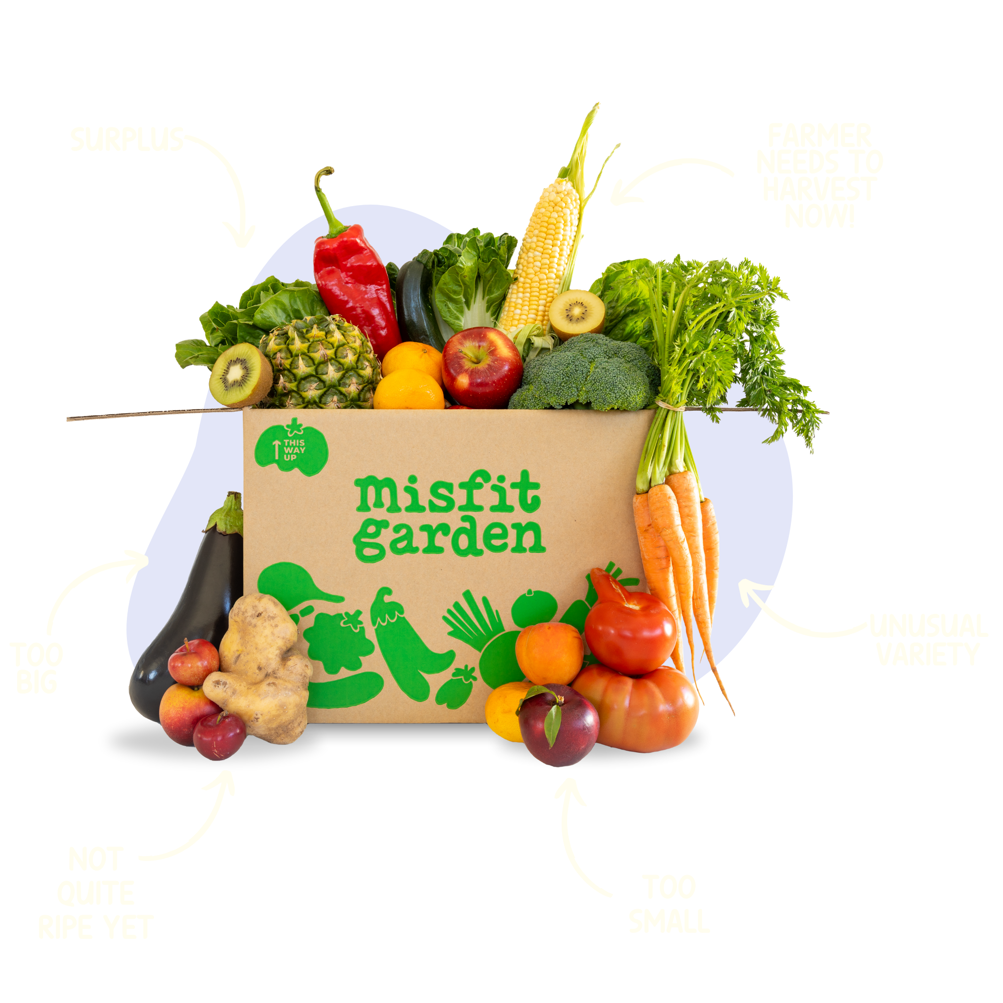 Fruit & Veg Boxes | North Island Wide Delivery | Misfit Garden