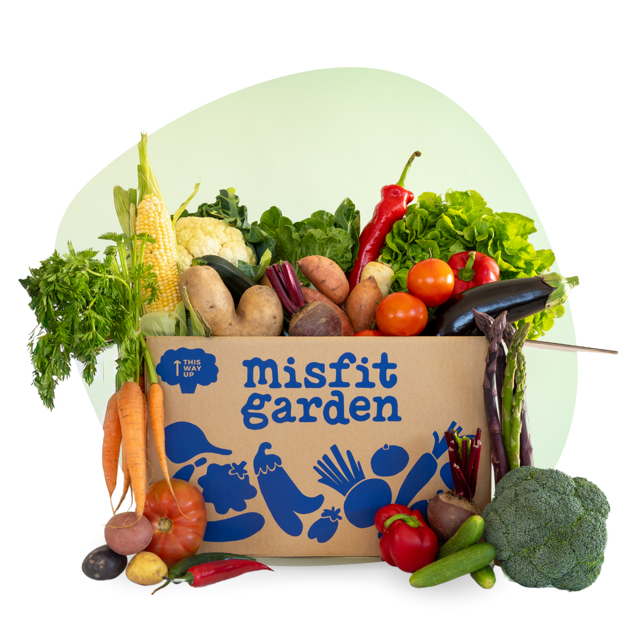Large Veg Only Box | Delivered To Your Door | Misfit Garden