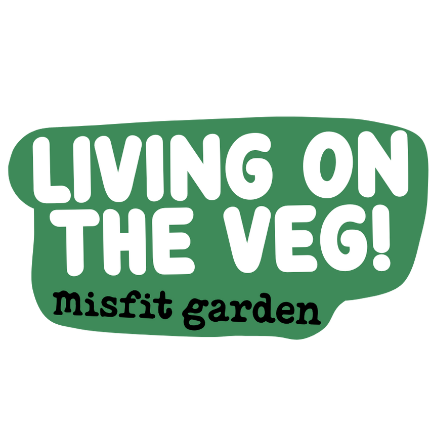 Our Misfit Fruit & Veg Subscription Boxes | Misfit Garden