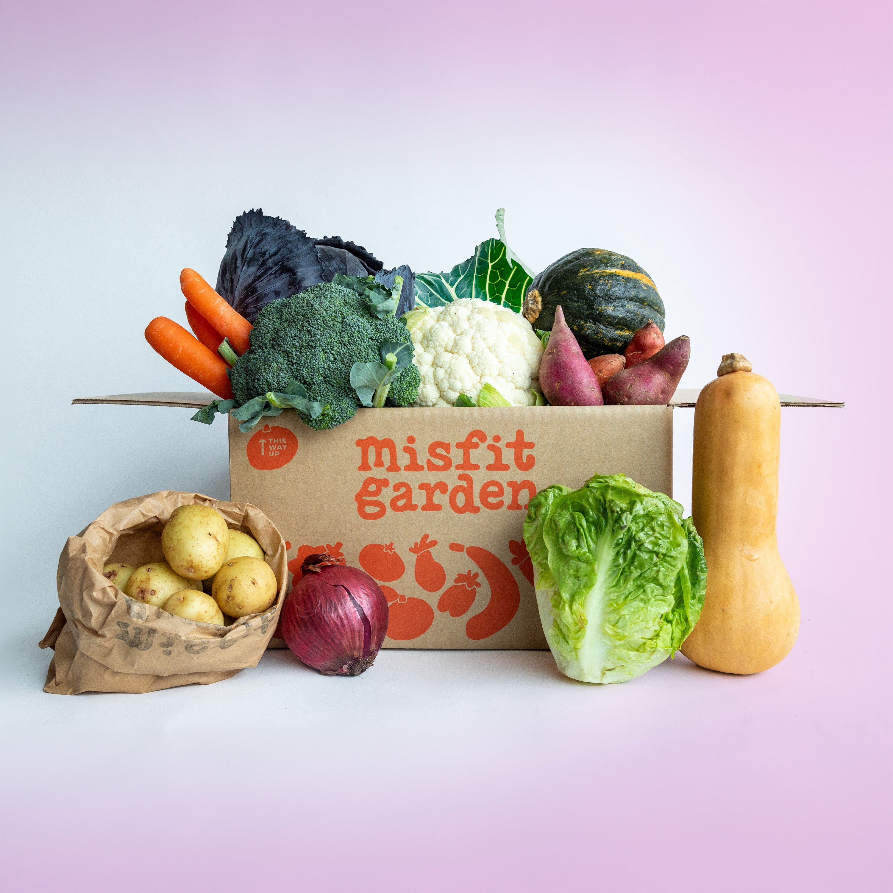Staples Box – Misfit Garden