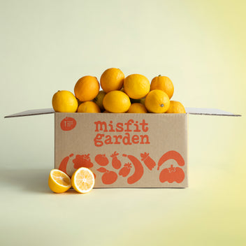 Fruit & Veg Boxes | North Island Wide Delivery | Misfit Garden