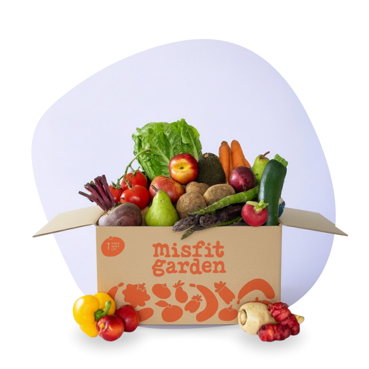 Mini Misfit Box | Delivered To Your Door | Misfit Garden