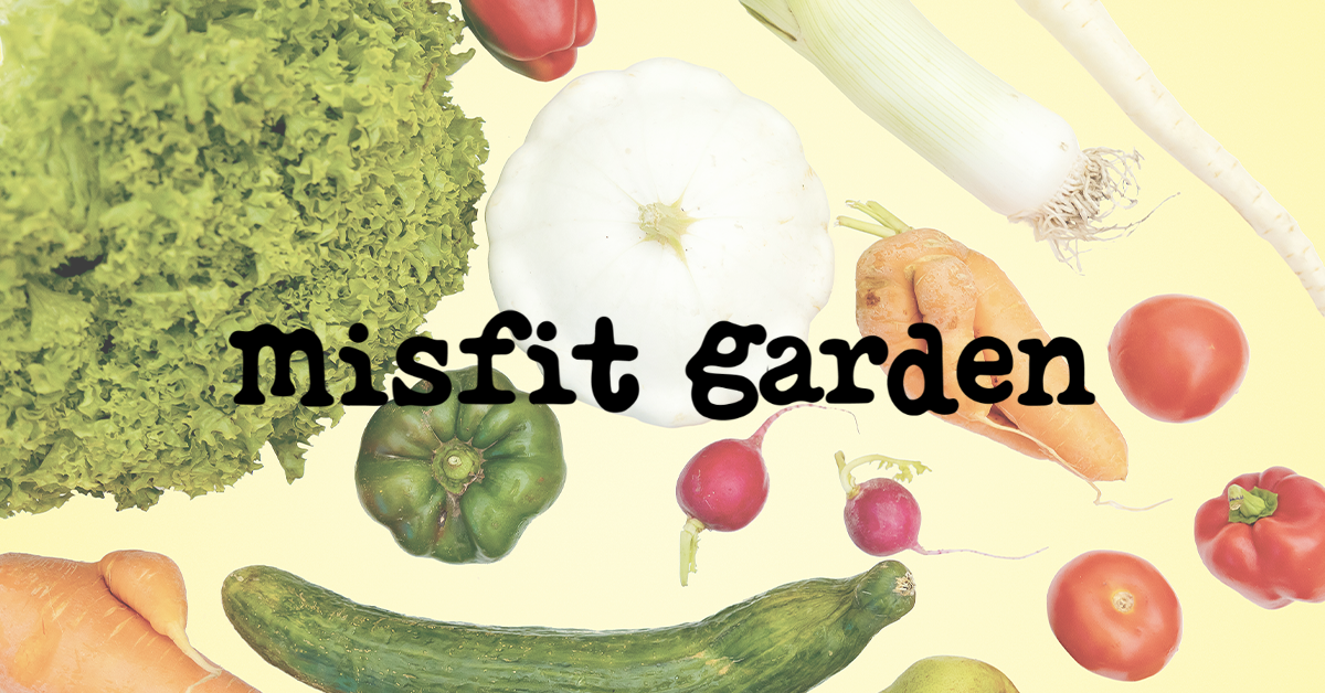 Fruit & Veg Boxes | North Island Wide Delivery | Misfit Garden