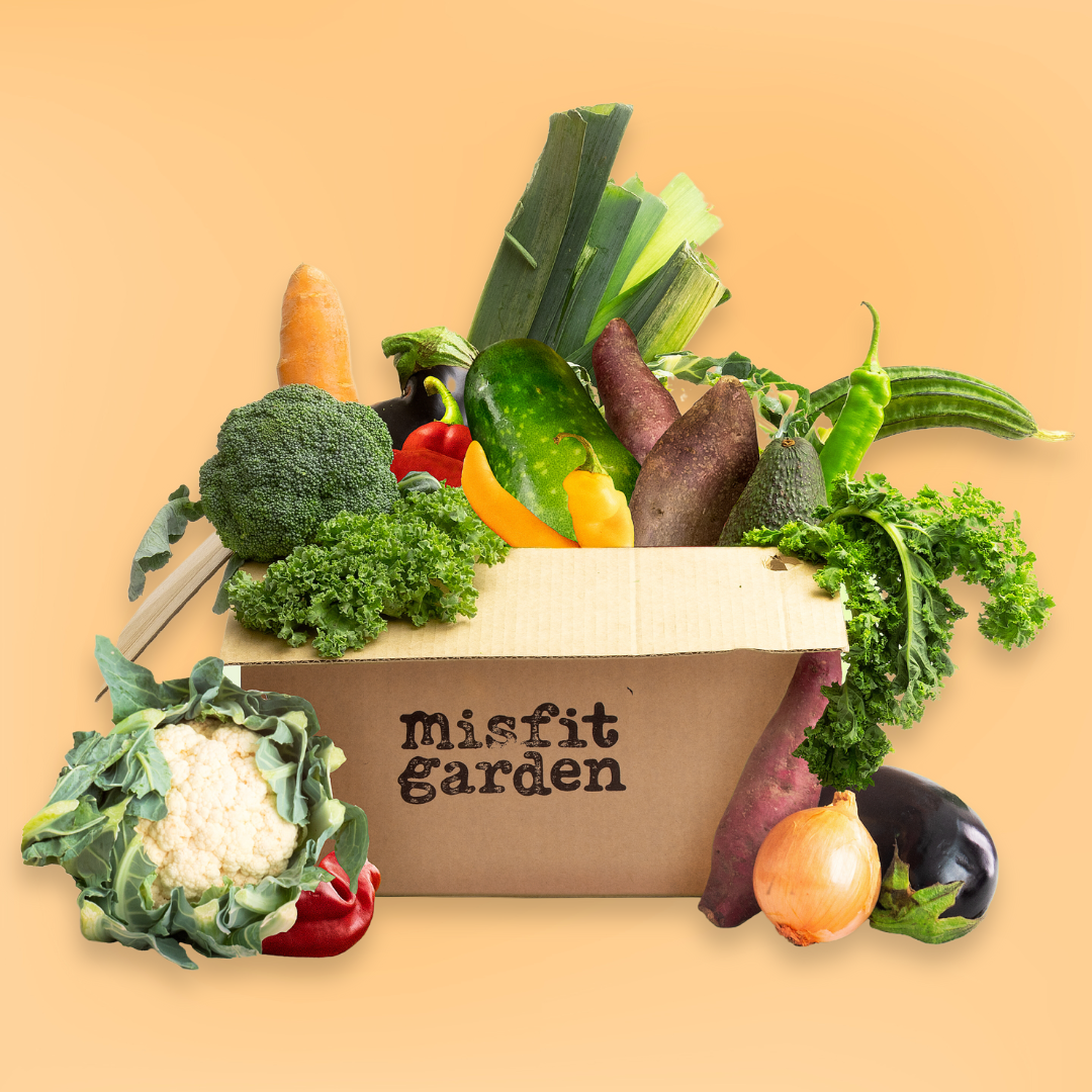 The Misfit Box | Veg Only – Misfit Garden