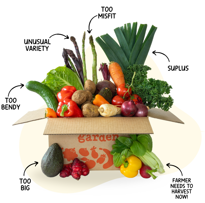 Fruit & Veg Boxes | North Island Wide Delivery | Misfit Garden
