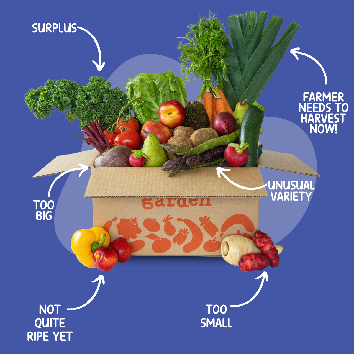 Fruit & Veg Boxes | North Island Wide Delivery | Misfit Garden