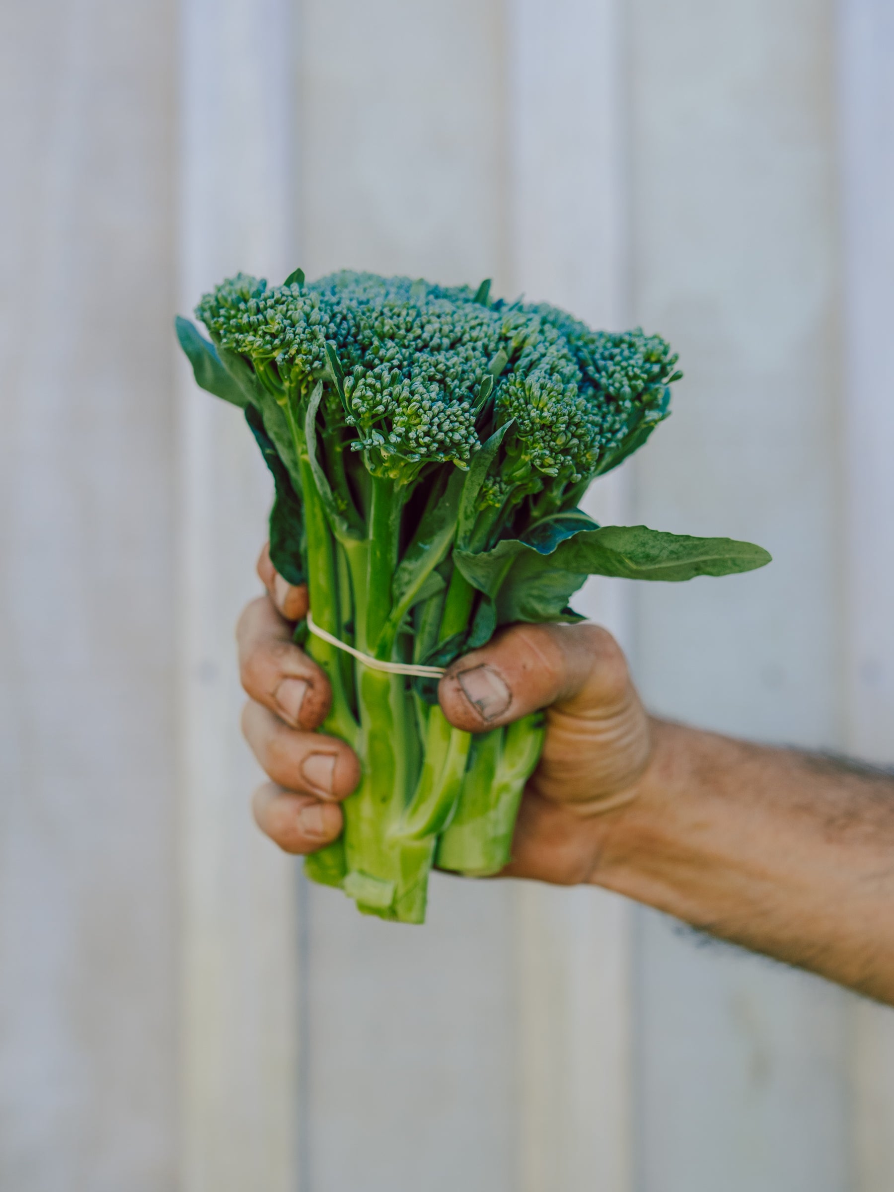 What's Inside Our Fruit & Veg Boxes | Misfit Garden