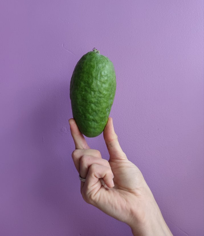 Wholesale Misfit | Fruit & Veg Boxes | Misfit Garden