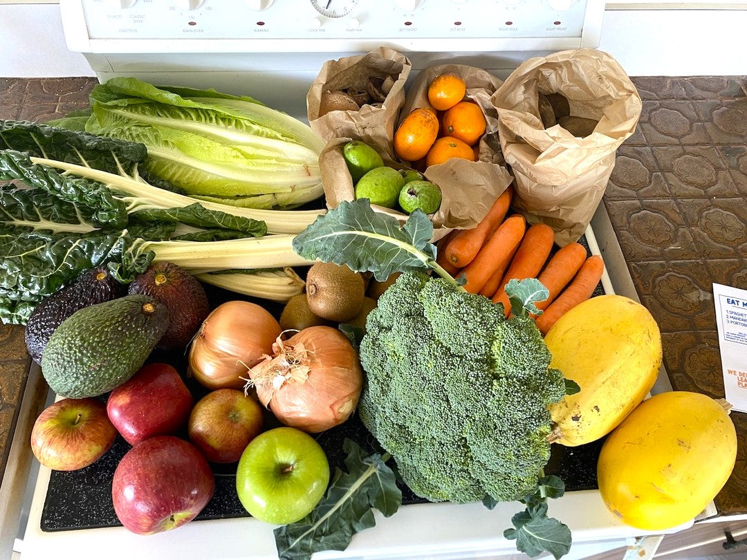 Our Reviews – Misfit Garden