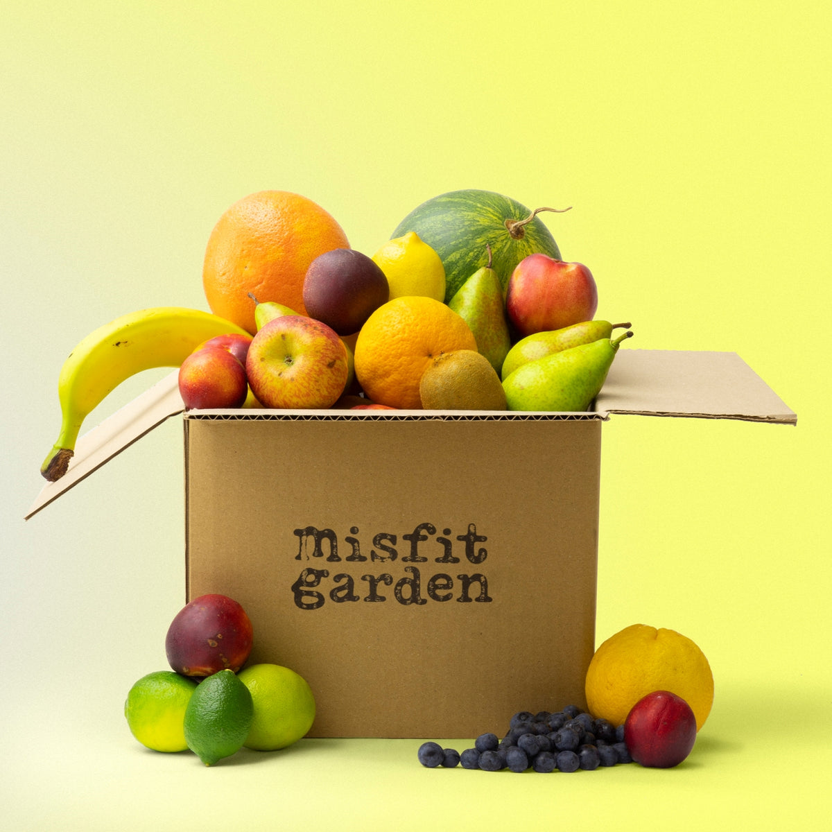 Our Misfit Fruit & Veg Subscription Boxes | Misfit Garden